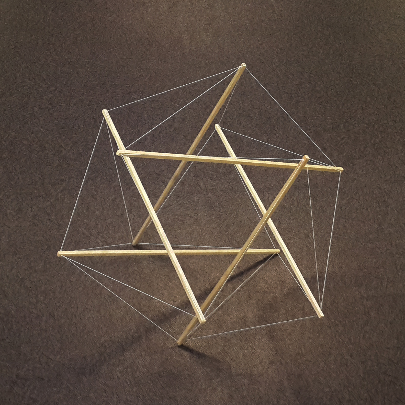 Embodied Tensegrity—Fascia and Yoga | Embodyoga®